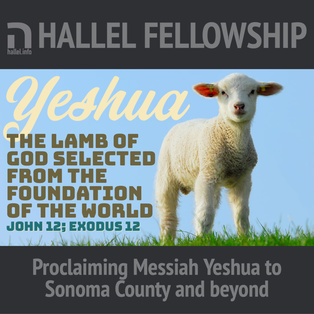 Hallel Fellowship