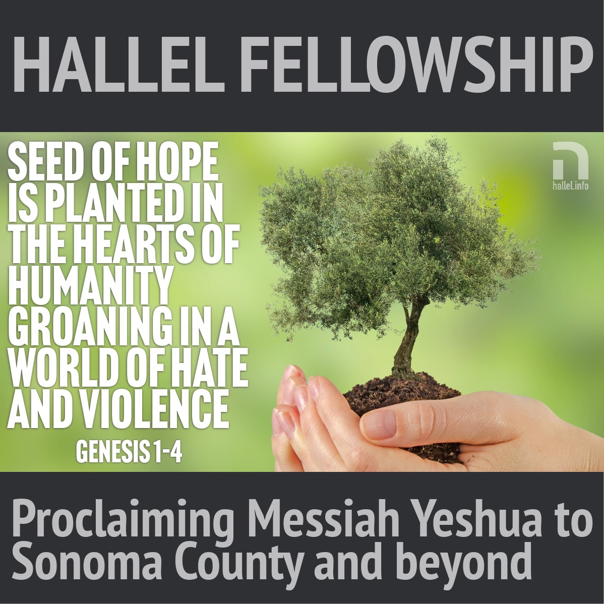 Hallel Fellowship
