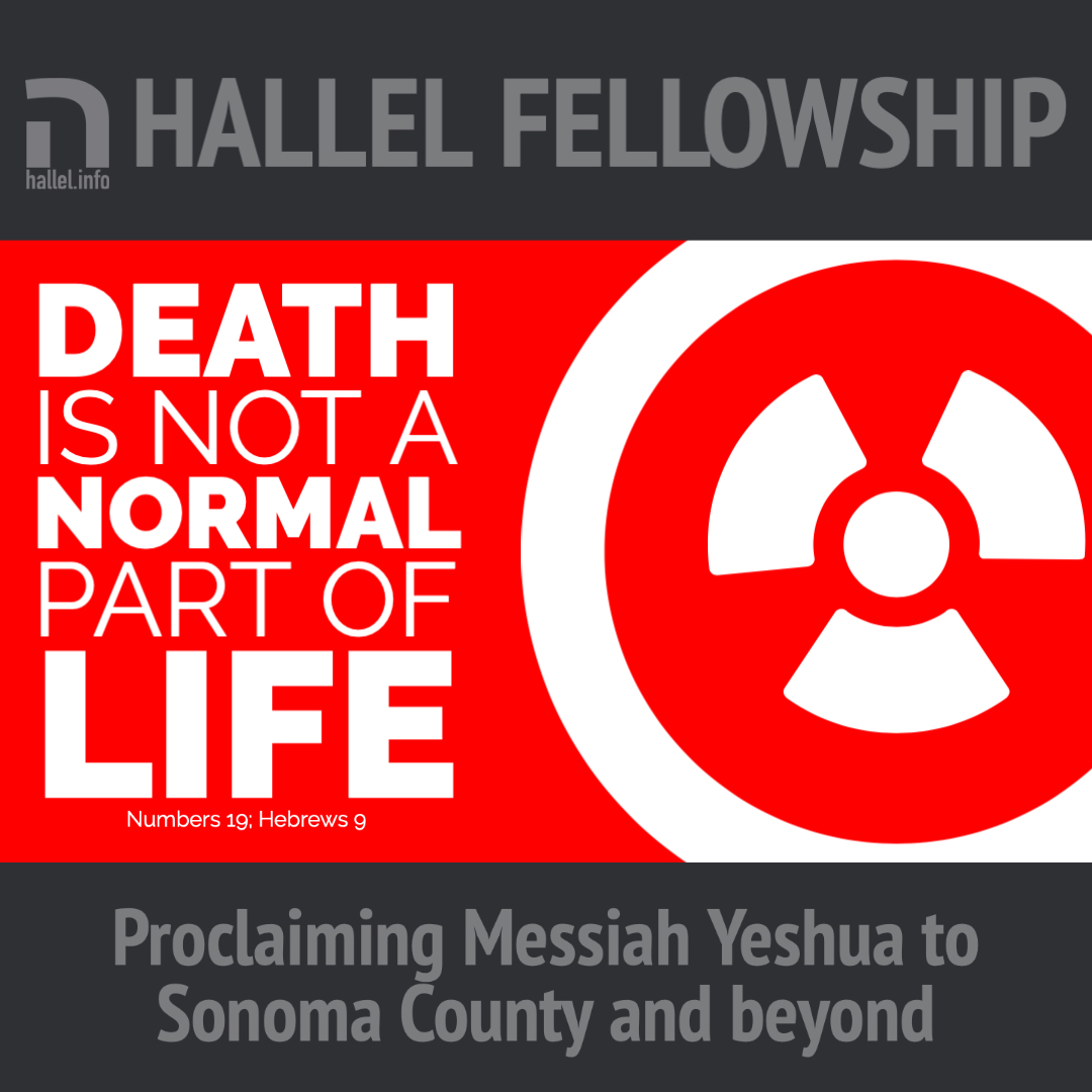 Chukat 2022 podcast – Hallel Fellowship