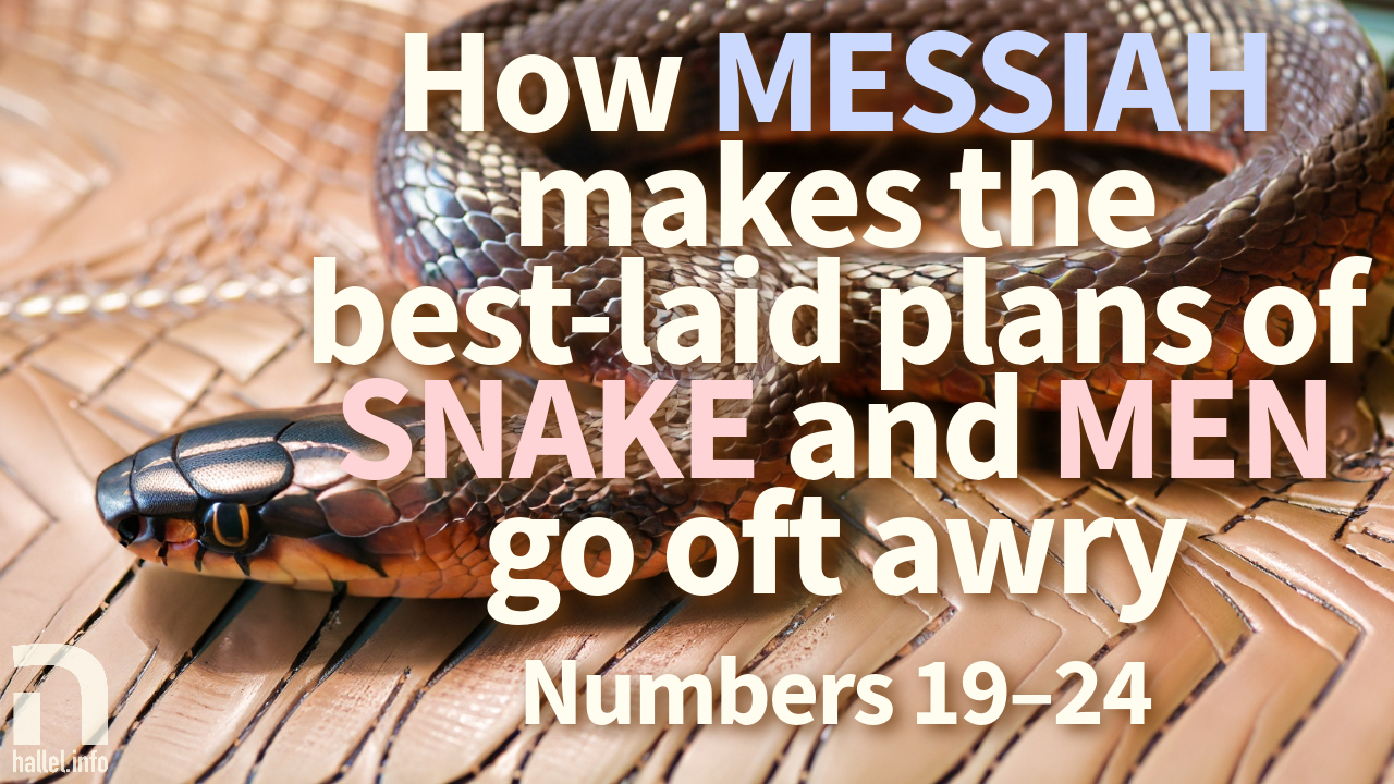 How Messiah makes the best-laid plans of snake and men go oft awry ...