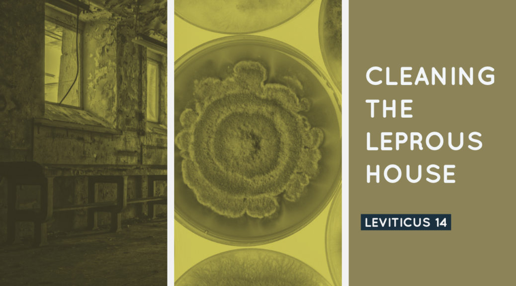 Leviticus 14: Cleansing the ‘leprous’ houses of our souls – Hallel ...
