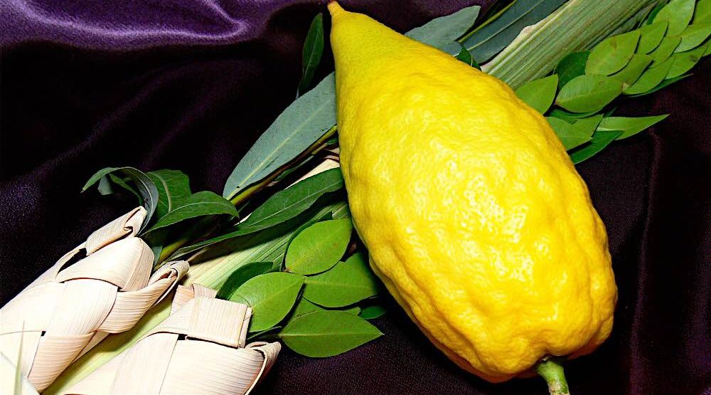 Symbols of Sukkot: Four species of trees – Hallel Fellowship