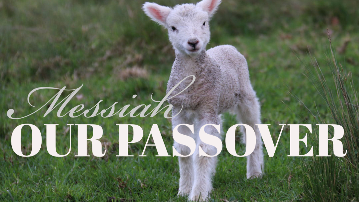 Shabbat Pesach (Sabbath of Passover) readings – Hallel Fellowship