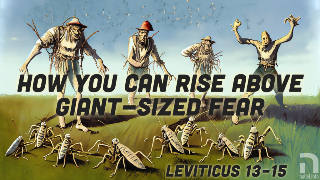 How you can rise above giant-sized fear (Numbers 13–15) - Hallel Fellowship